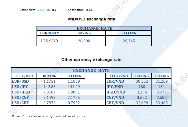 EXCHANGE RATE UPDATE 2025-07-03